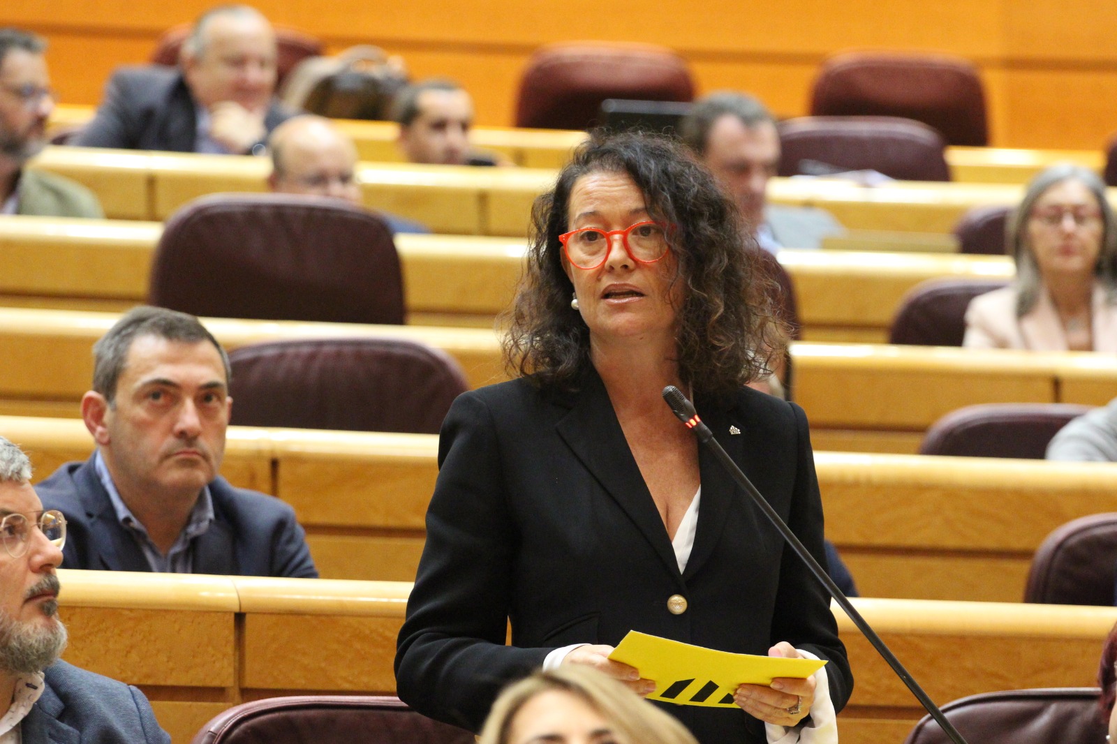 ERC incorpora una esmena als Pressupostos de l’Estat per construir un ...